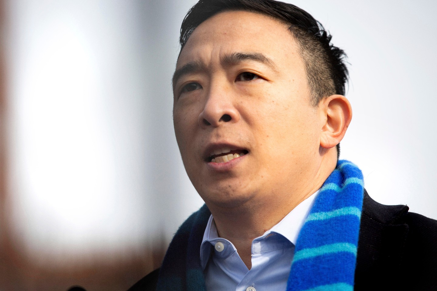 How Michael Bloomberg’s Former Campaign Manager Became Andrew Yang’s ...